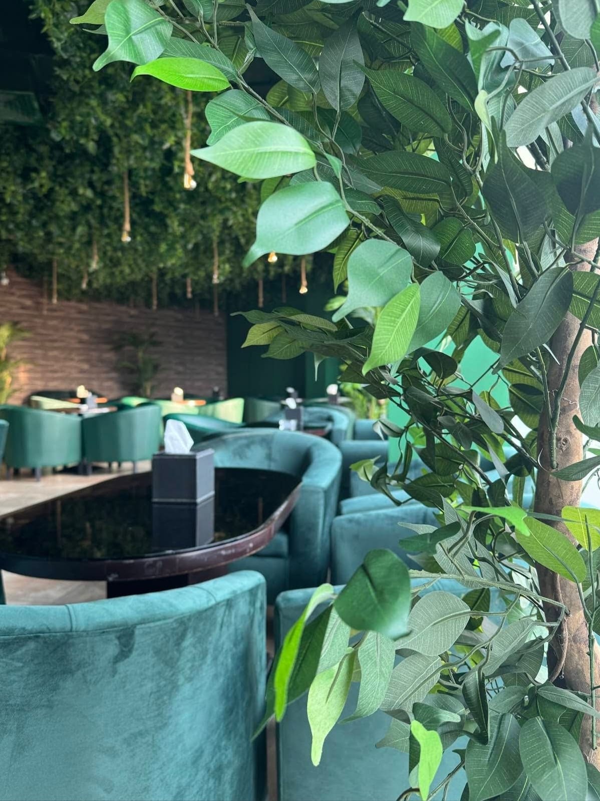 Roadside Bagecha Cafe, Oud Metha, Dubai | Zomato