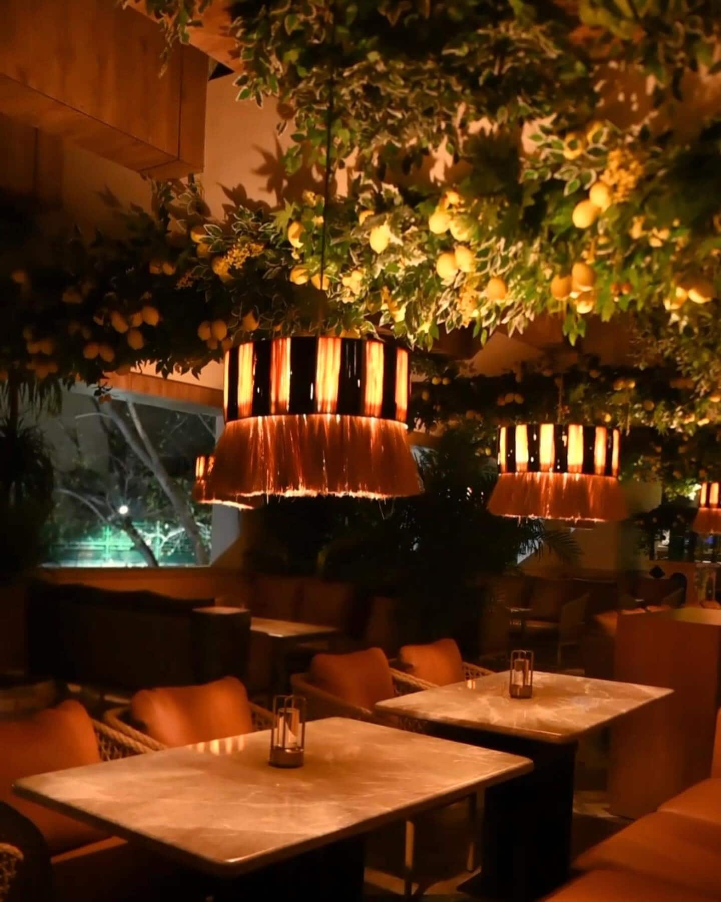 Mestizo, Vasant Vihar, New Delhi | Zomato