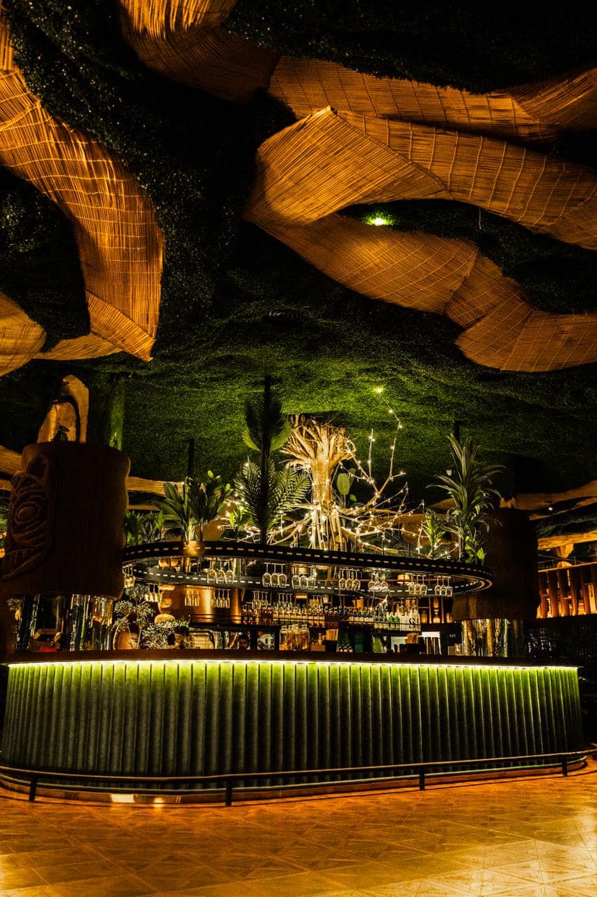 Congo, Golf Course Road, Gurgaon | Zomato