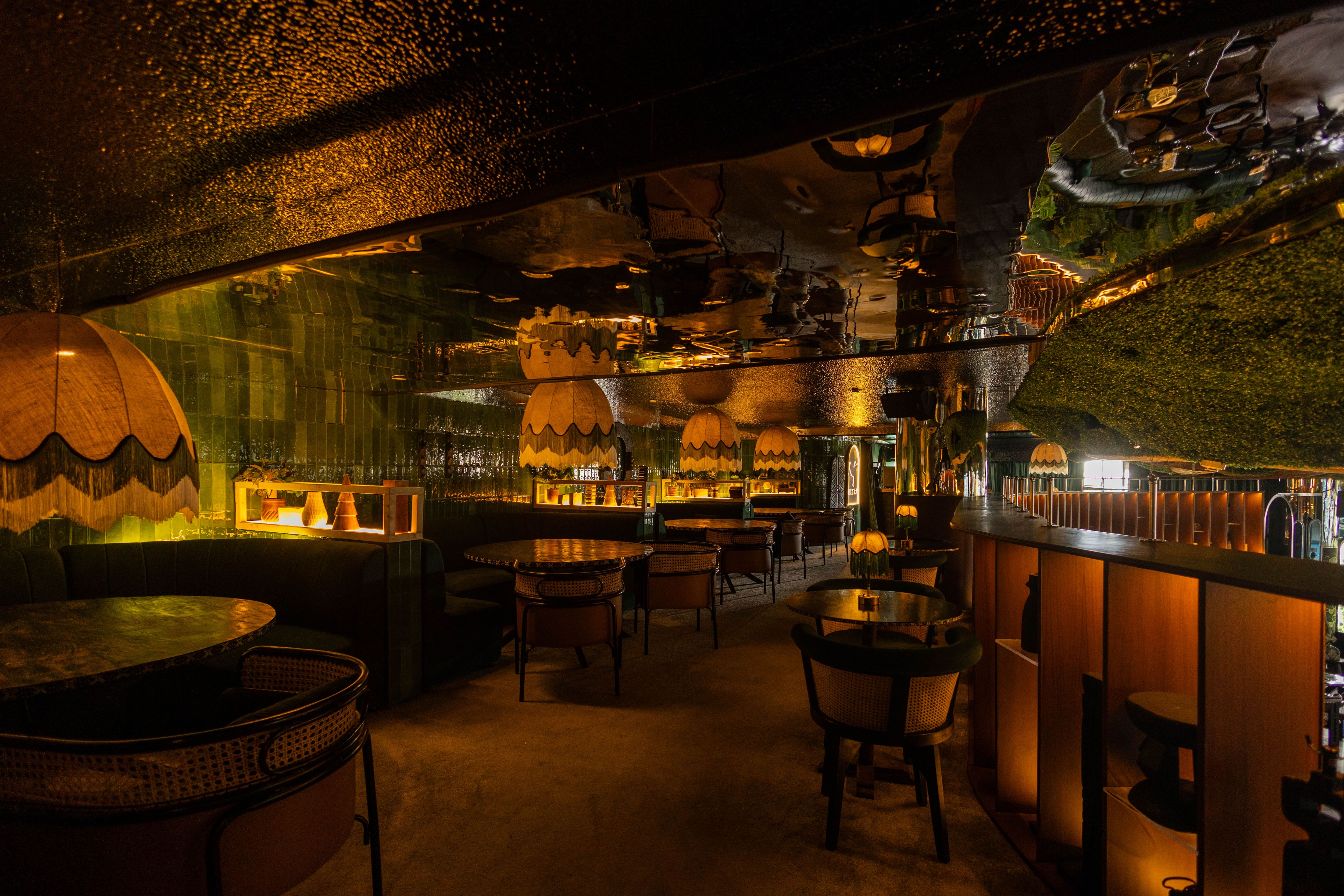 Congo, Golf Course Road, Gurgaon | Zomato