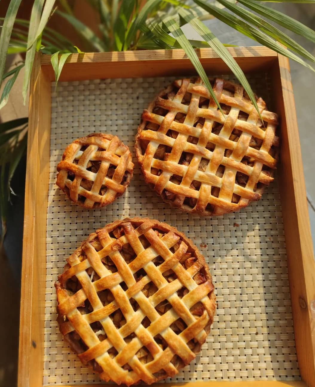 Tokyo Bakery, Baner, Pune | Zomato