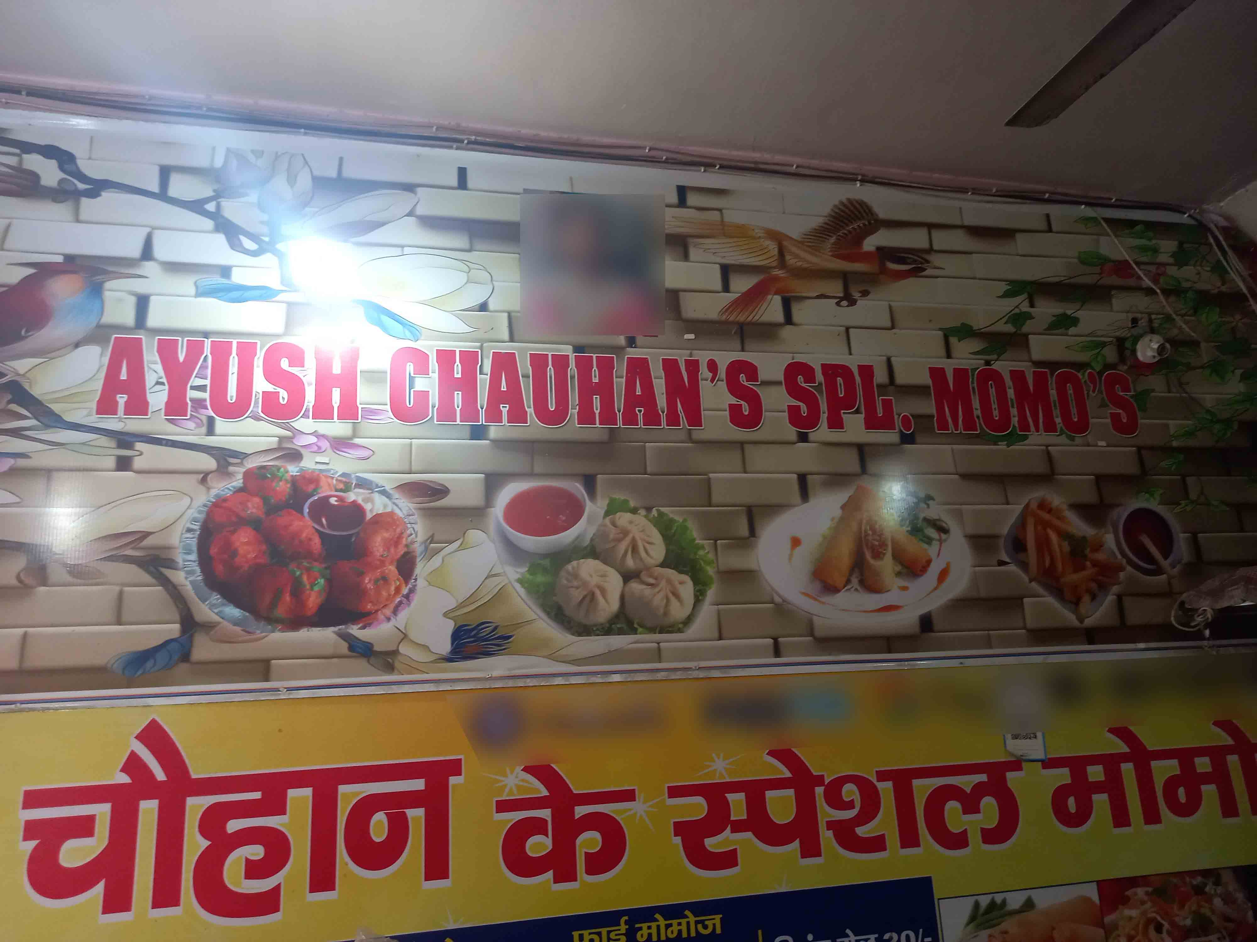 Ayush Chauhan's Spl Momo's, Uttam Nagar, New Delhi | Zomato