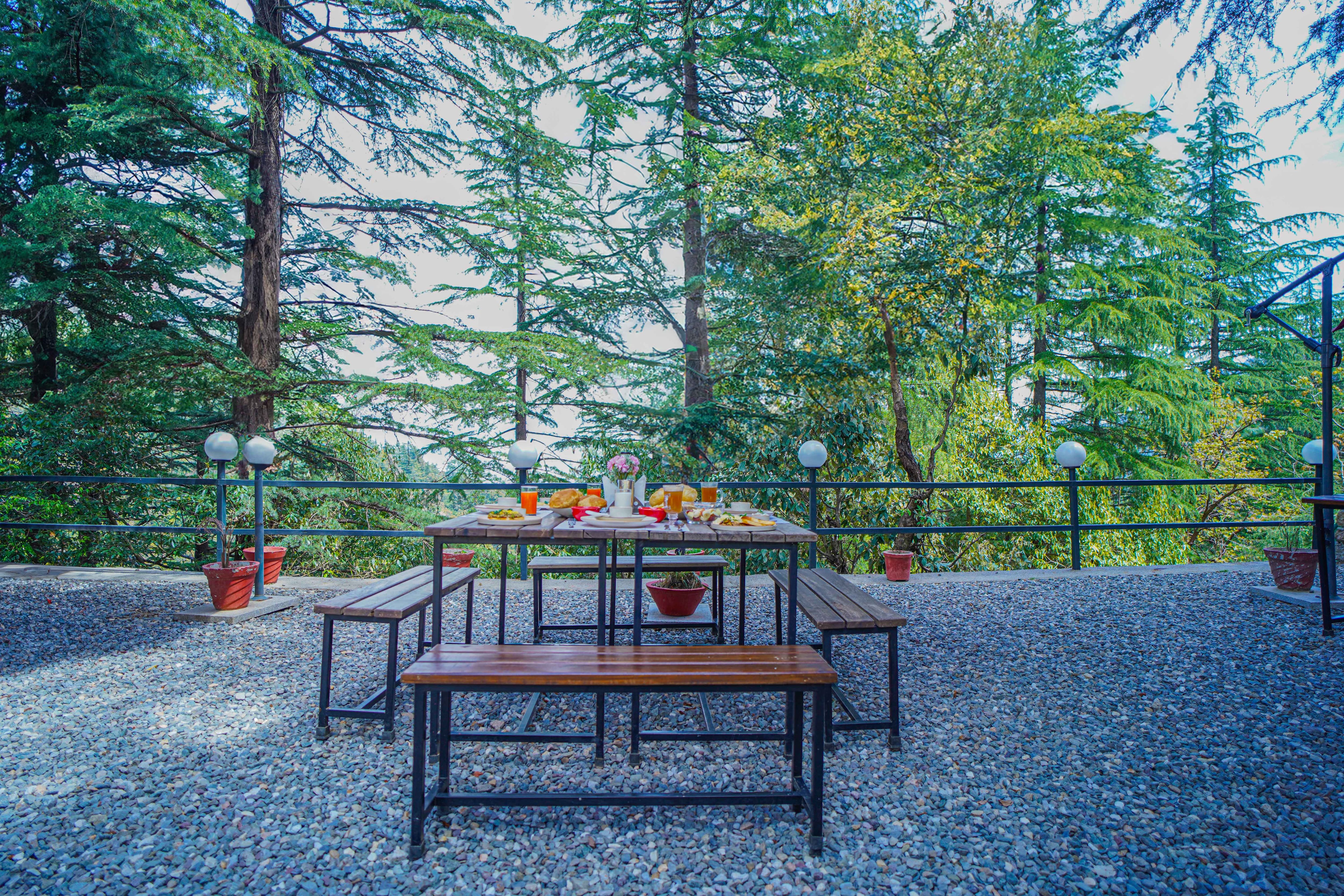 Park Cafe, Charleville, Mussoorie | Zomato