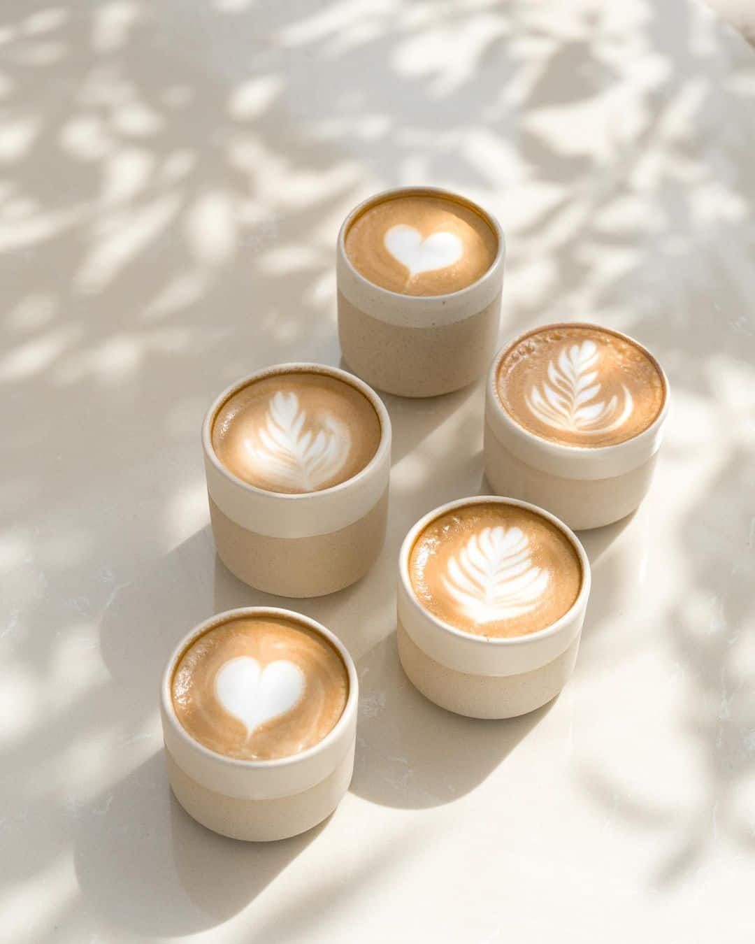 Caya, University City, Sharjah | Zomato