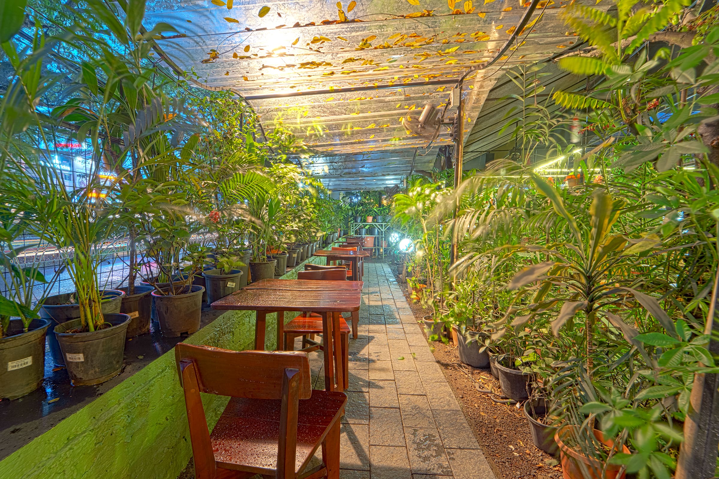 Fress Trees Garden Cafe, Edappally, Kochi | Zomato