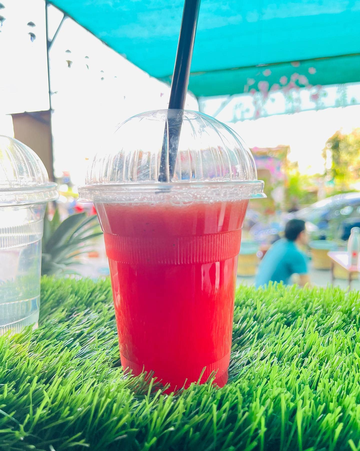 MFD Cafe, Lal Kothi order online - Zomato