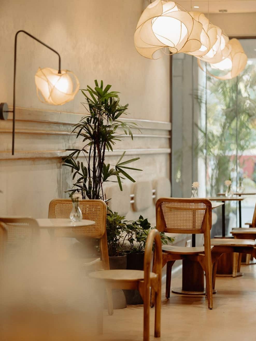 Peter Rabbit, Sector 10, Chandigarh | Zomato