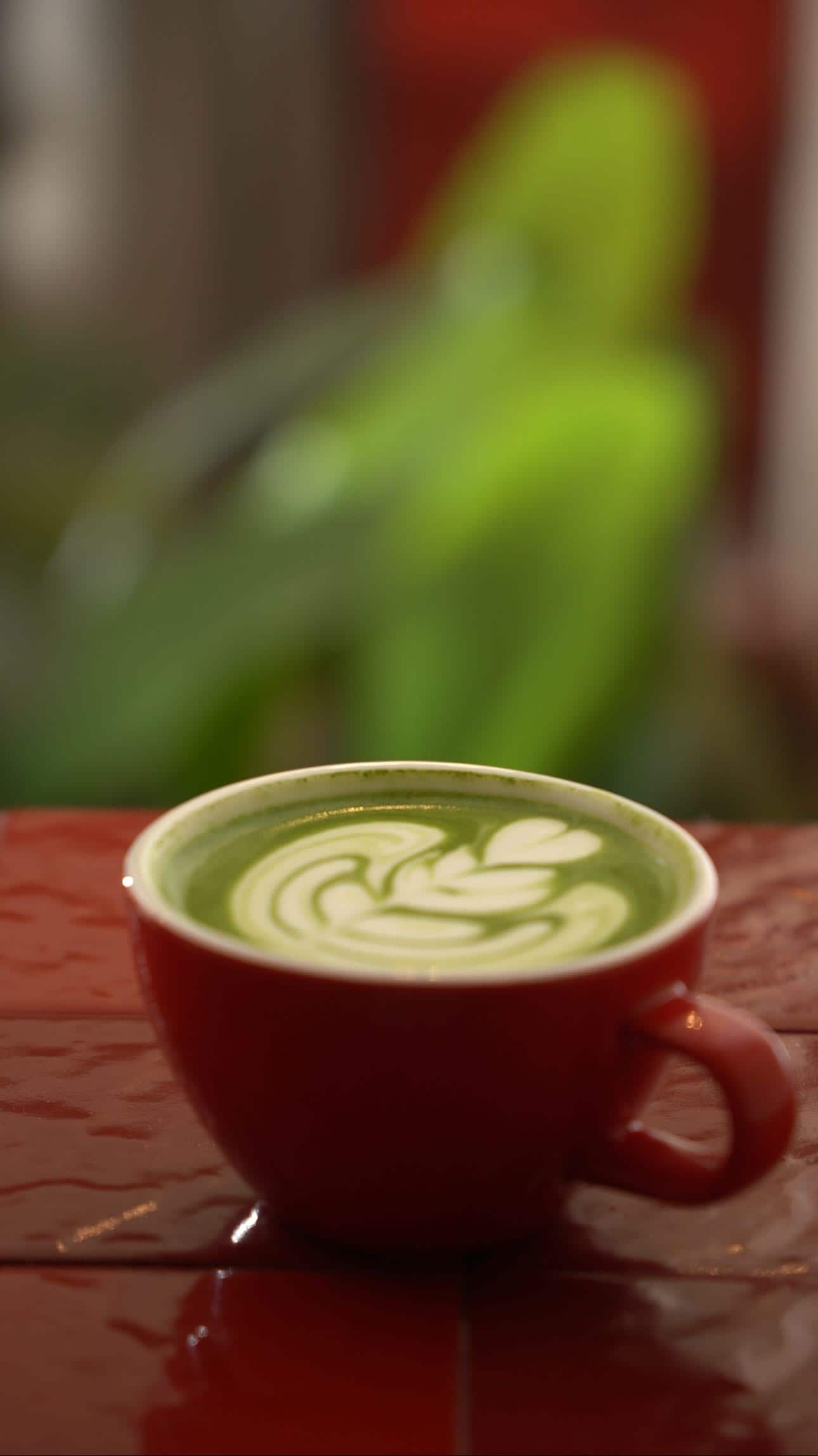 Bari Cafe, University City, Sharjah | Zomato