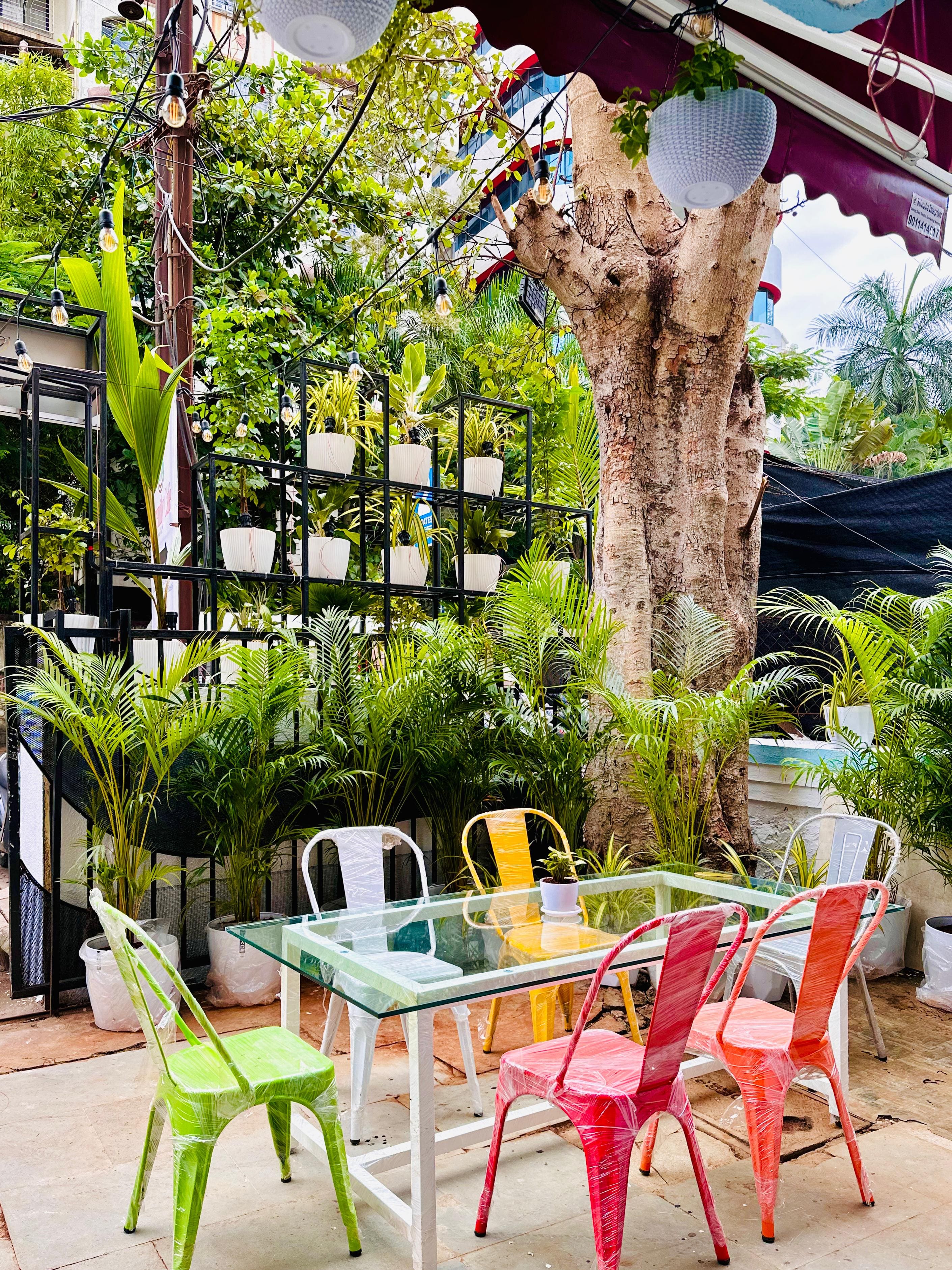 Serenity Cafe, Senapati Bapat Road, Pune | Zomato