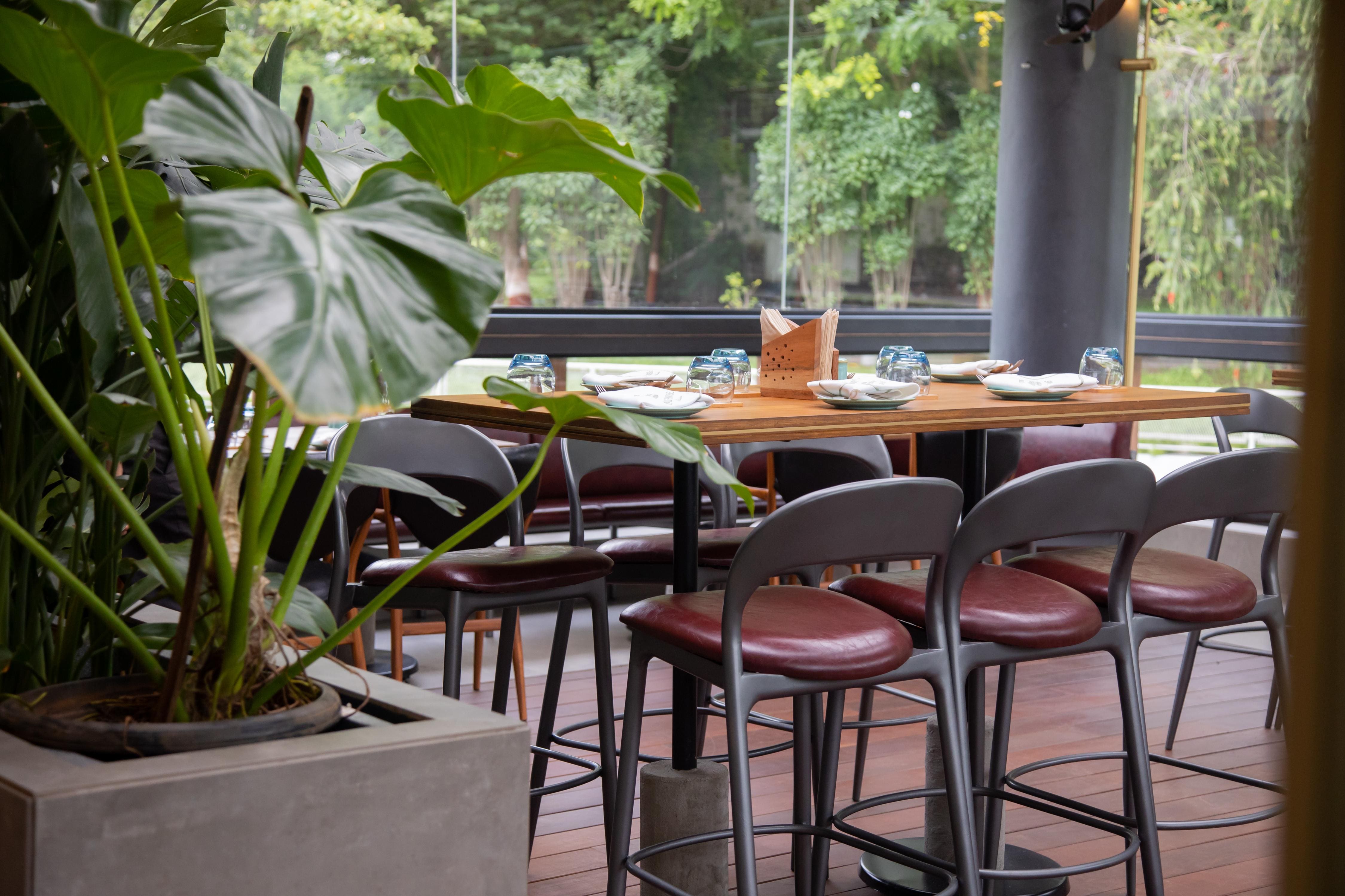 The Lake House - Amanora, Hadapsar, Pune | Zomato