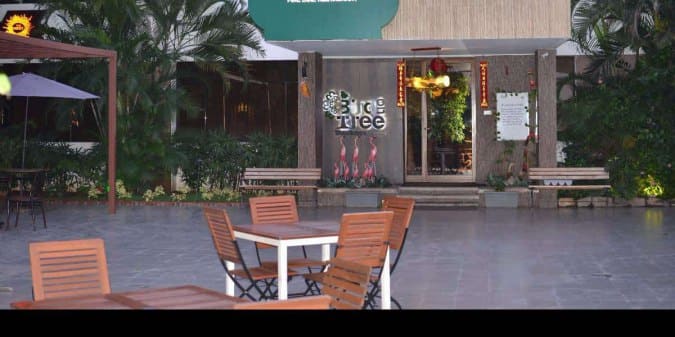 Bird On Tree, Race Course, Coimbatore | Zomato