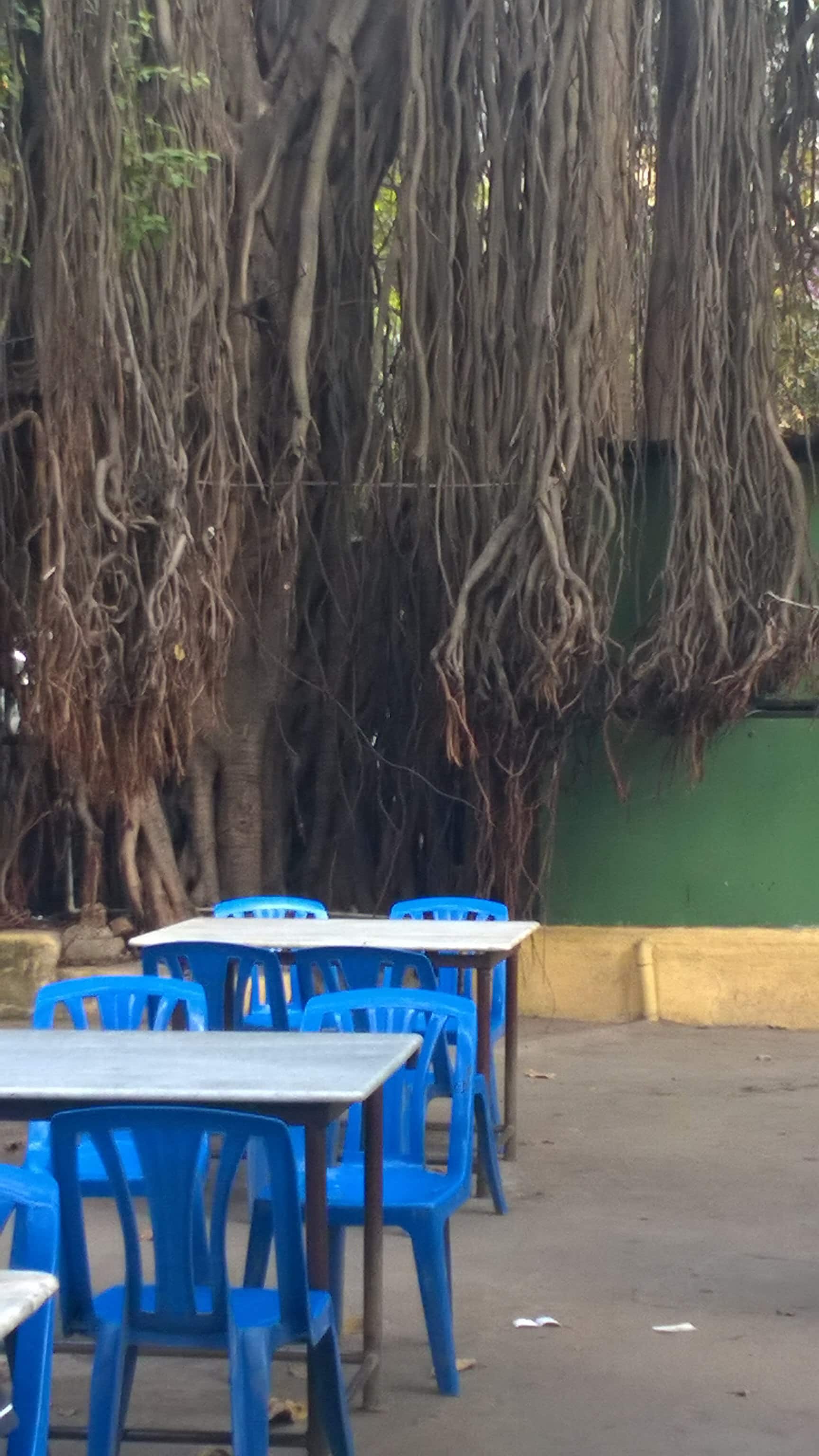 Airlines Hotel, Lavelle Road, Bangalore | Zomato