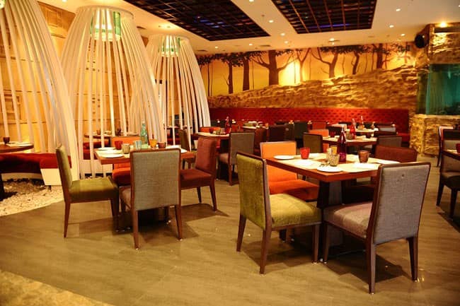 Drool Kitchen, Sector 10, Dwarka, New Delhi | Zomato