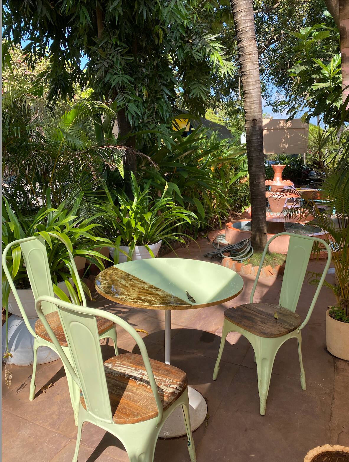 The Baba Au Rhum Corner, Panaji, Goa | Zomato