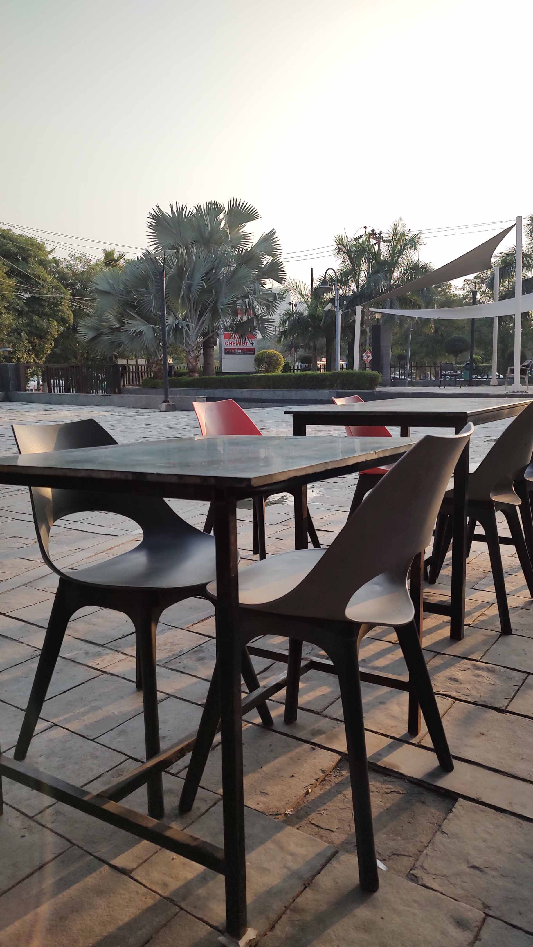 Pizzeria, Sector 93, Noida | Zomato