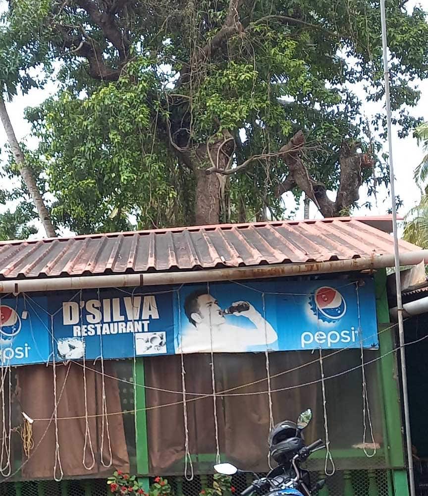 D' Silva Restaurant, Majorda, Goa | Zomato