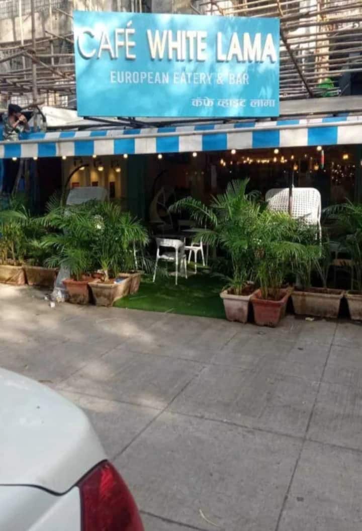 Cafe White Lama, Durga Puri, New Delhi | Zomato