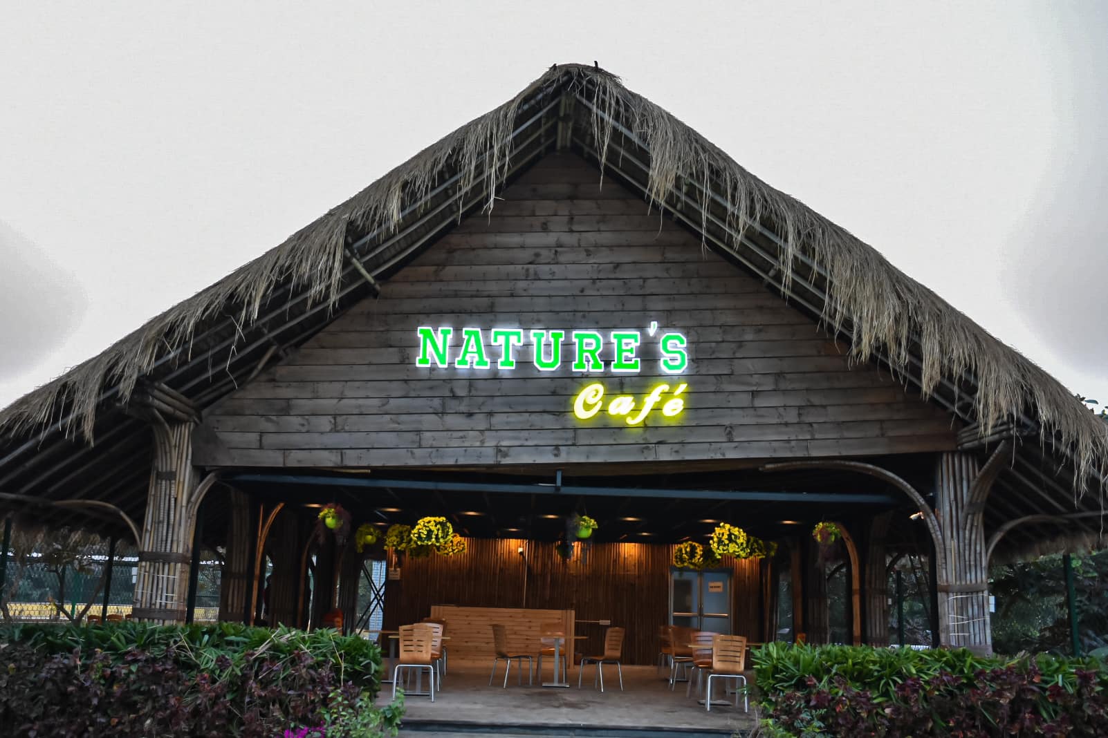 Nature's Cafe, New Town, Kolkata - Restaurant