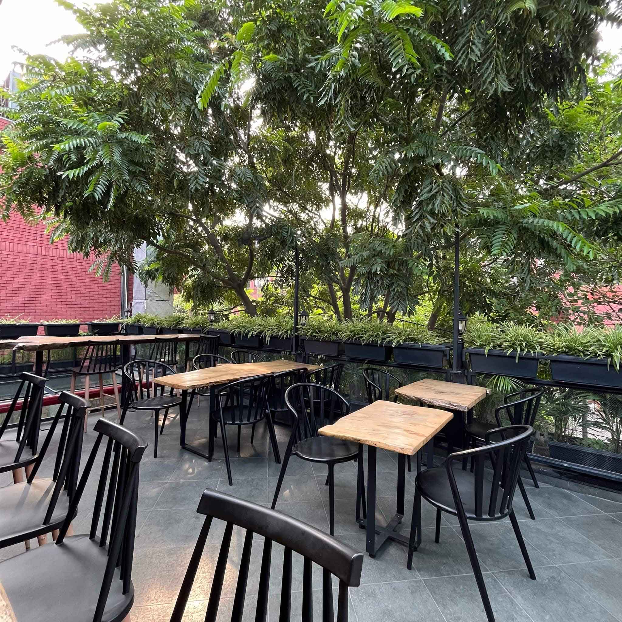 Cafe Olio, Sector 35, Chandigarh | Zomato