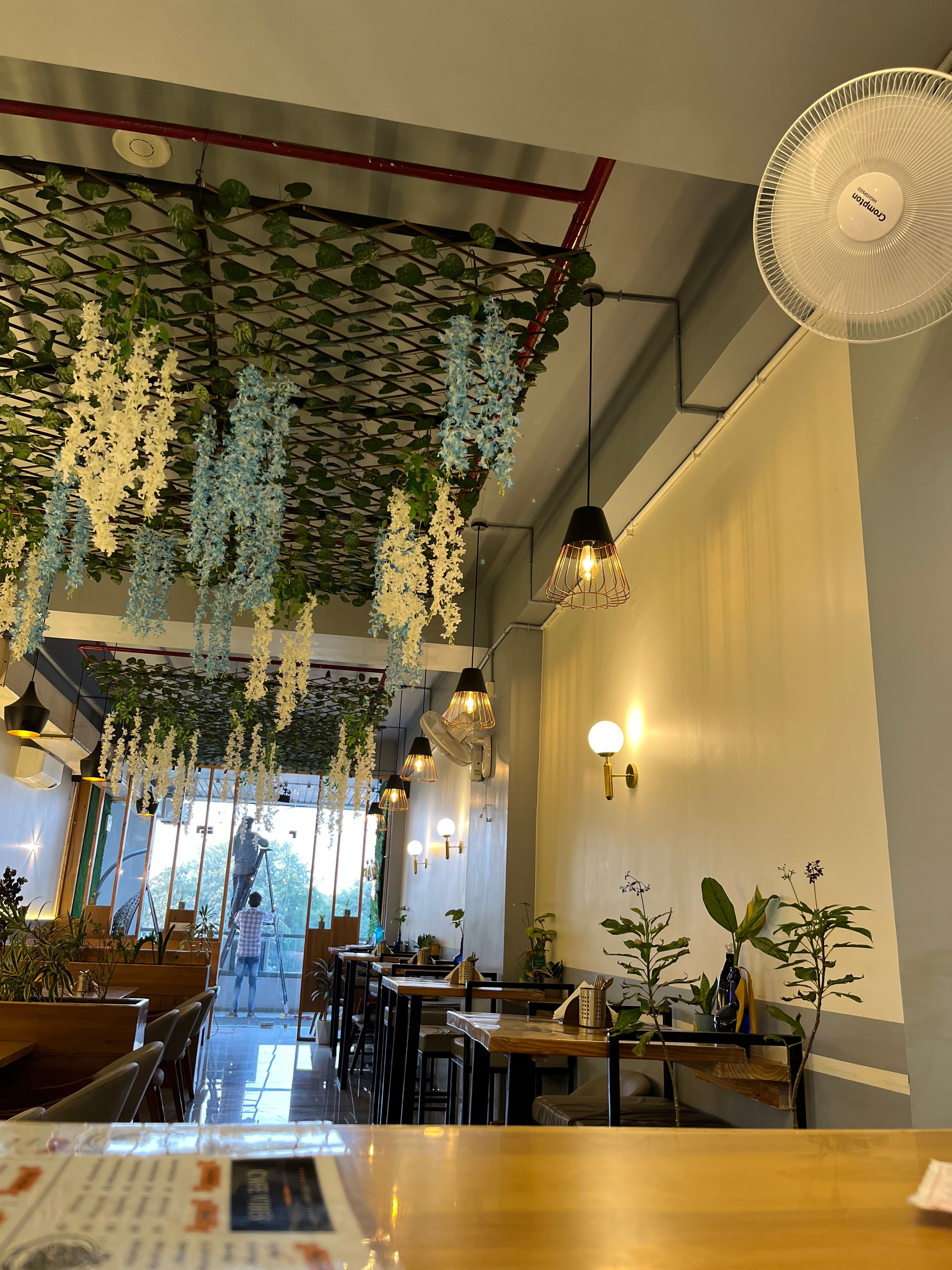 Cafe Vibes, Infocity, Gandhinagar | Zomato