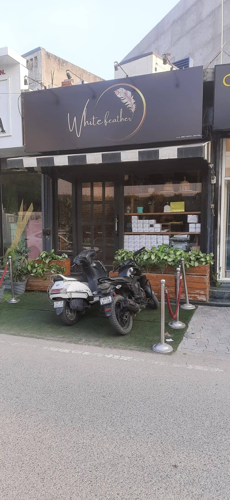 White Feather, Model Town, Panipat | Zomato