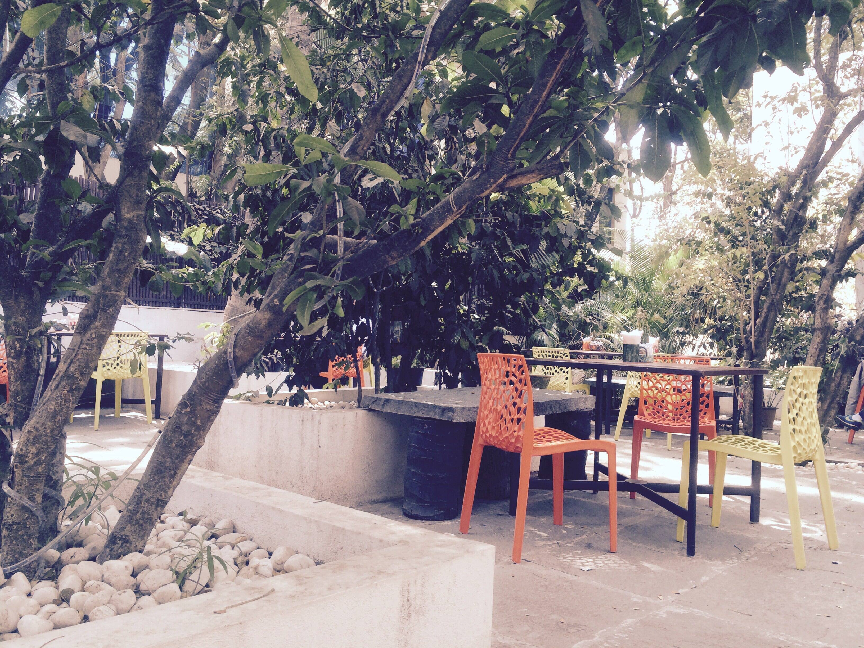 Bistro Claytopia Photos, Pictures of Bistro Claytopia, Koramangala 1st ...