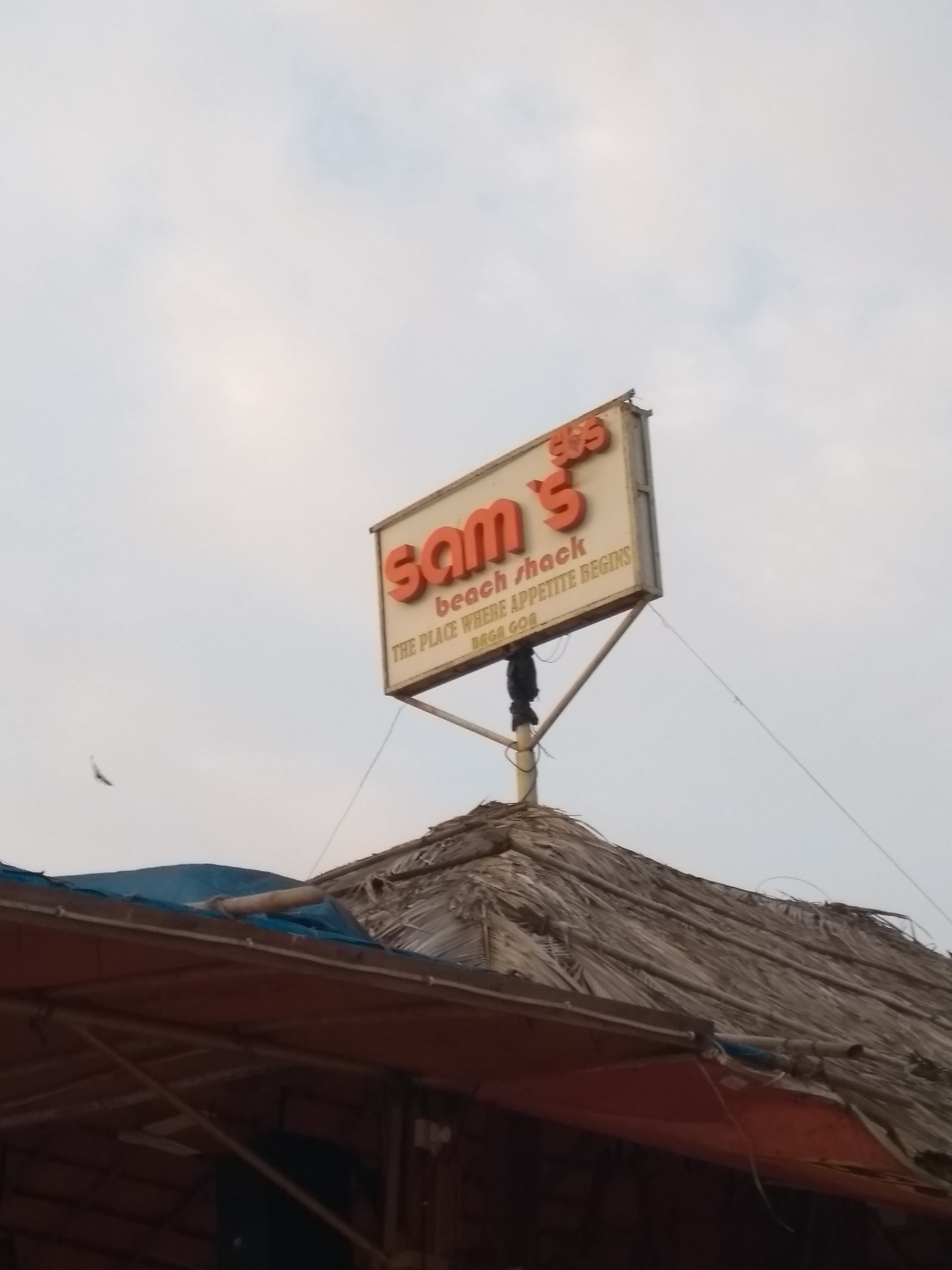 Sam's Beach Shack, Baga, Goa | Zomato
