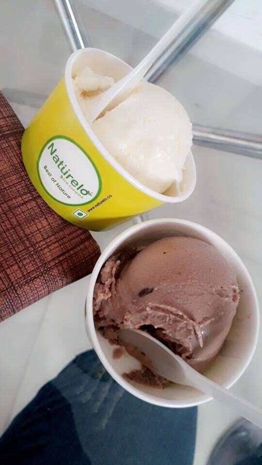 Naturelo Ice Creams, Gomti Nagar, Lucknow - Zomato