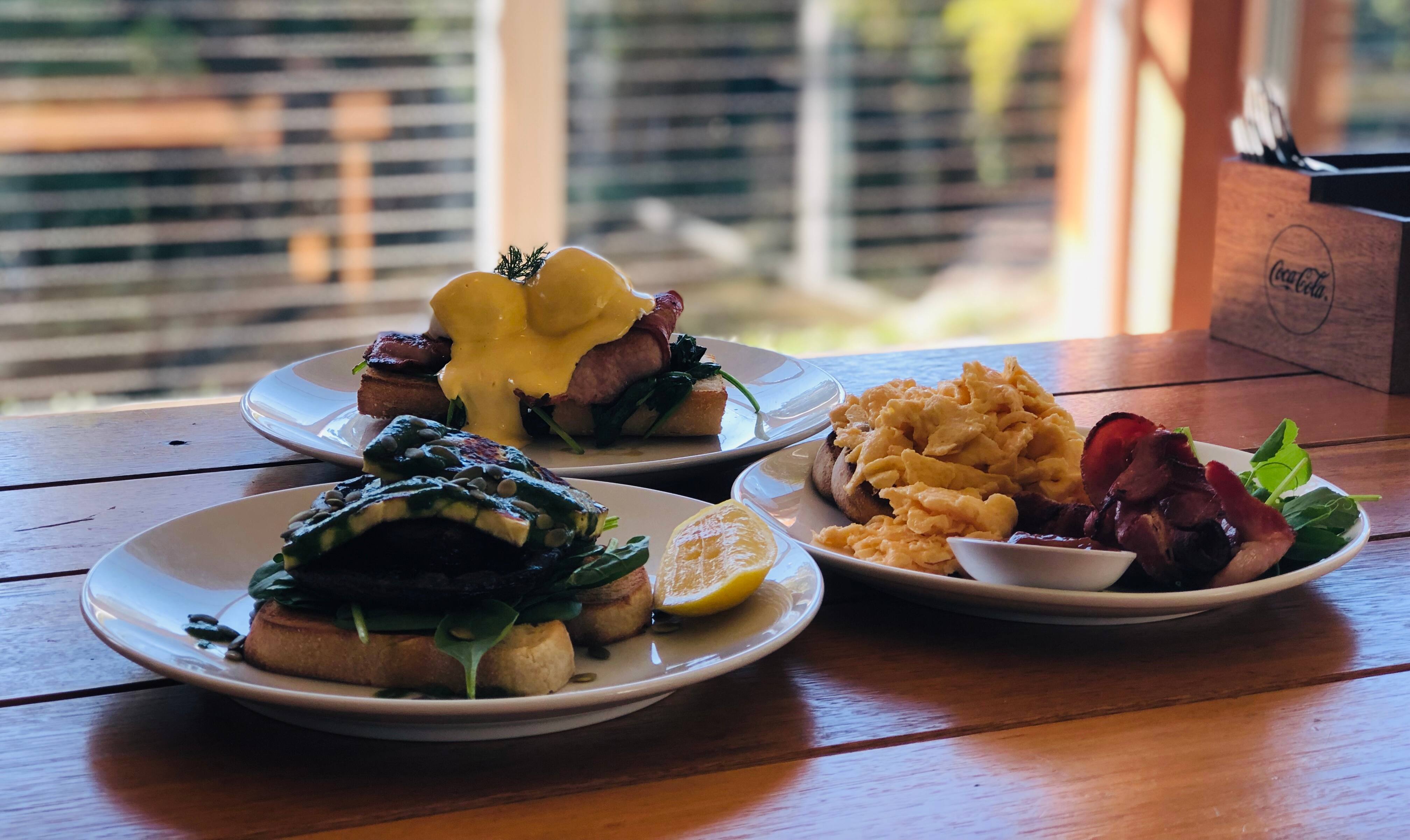 Mt Cootha Botanical Gardens Cafe Menu | Fasci Garden