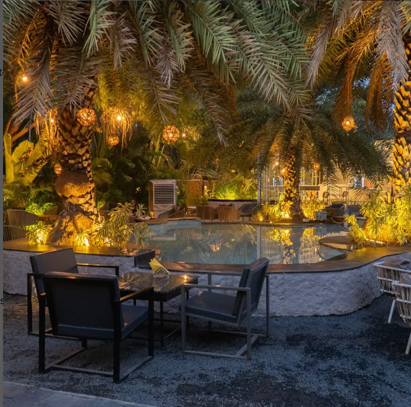 Muse, Bodakdev, Ahmedabad | Zomato