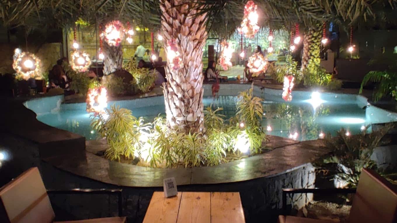 Muse, Bodakdev, Ahmedabad | Zomato