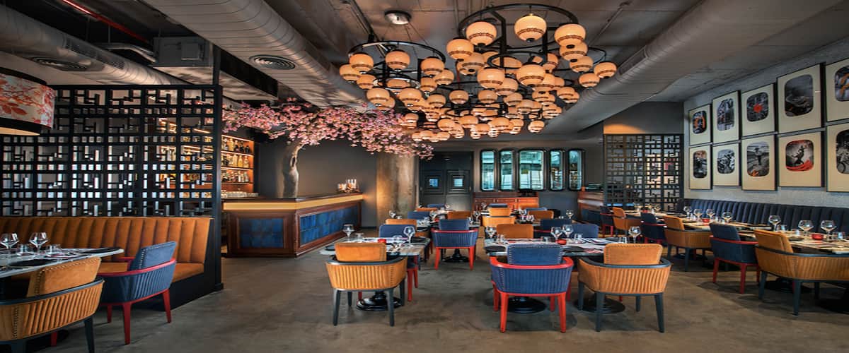 Miss Nora, Rajouri Garden, New Delhi | Zomato