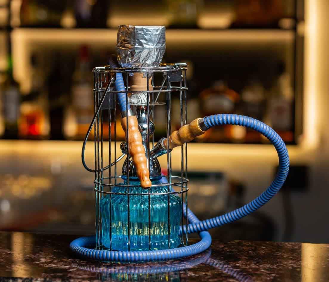 Patron Bar And Kitchen, Anjuna, Goa | Zomato