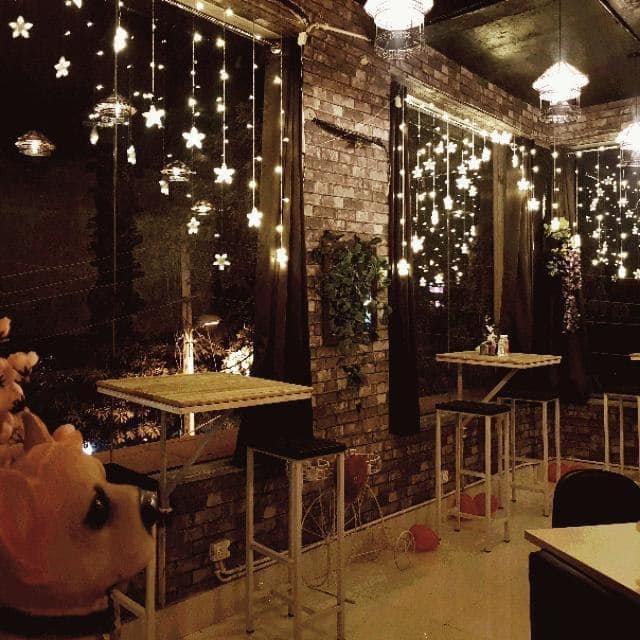 Huffle Puffle, Sector 16, Faridabad | Zomato