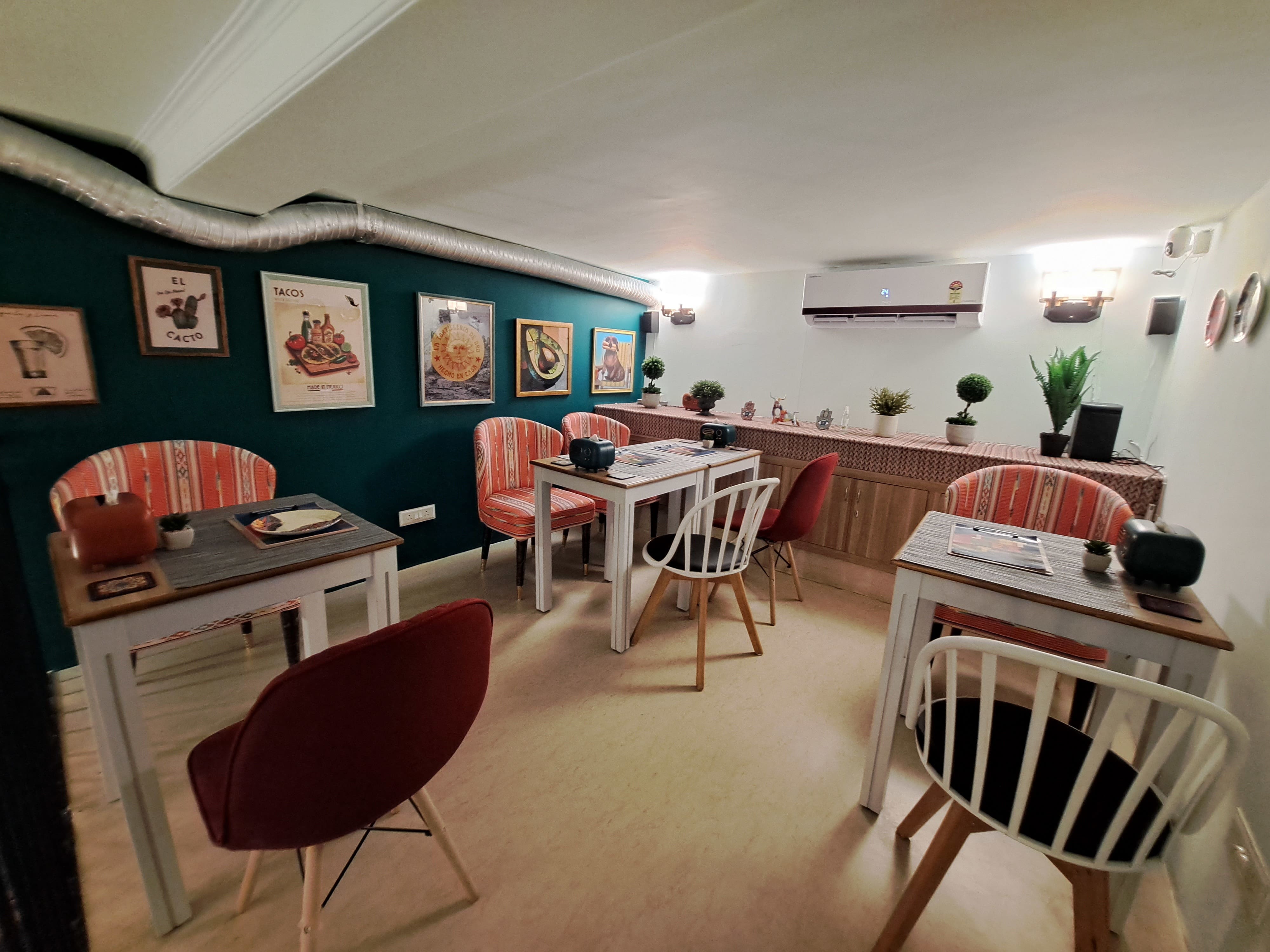 Dog Momma, SDA, New Delhi | Zomato