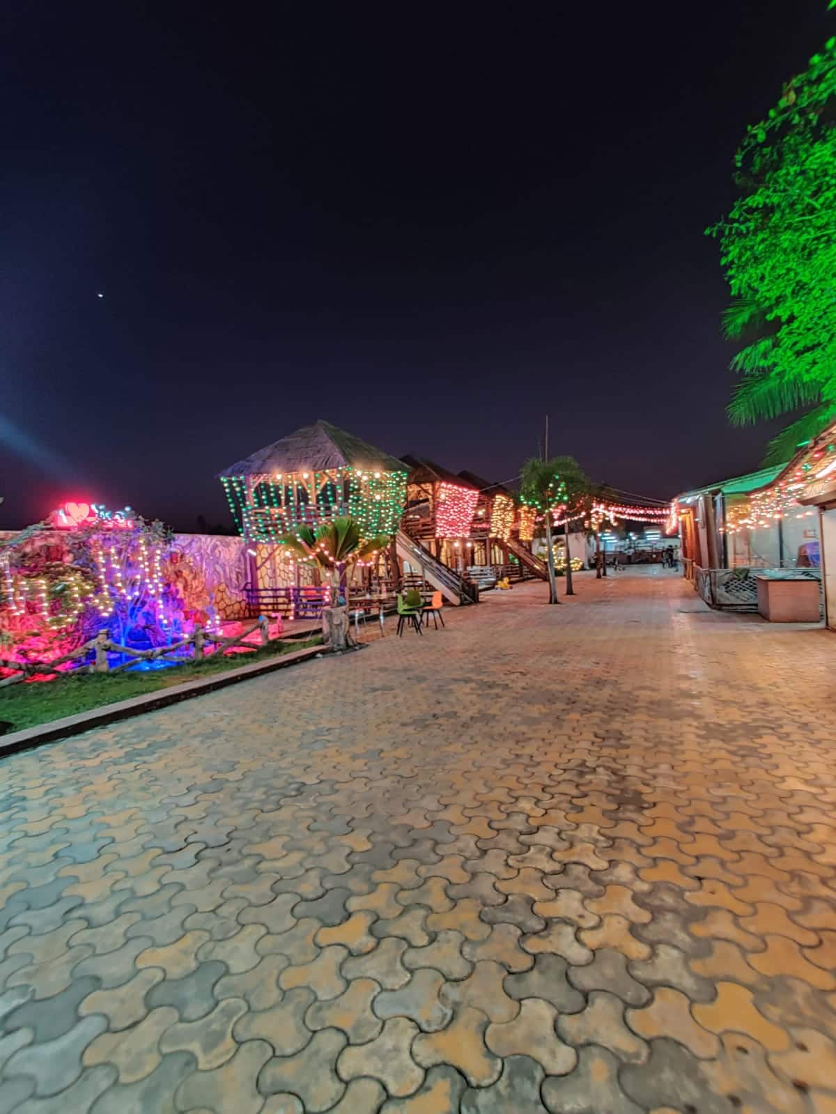 Menu of Sigdi Restaurant, Vapi Locality, Vapi