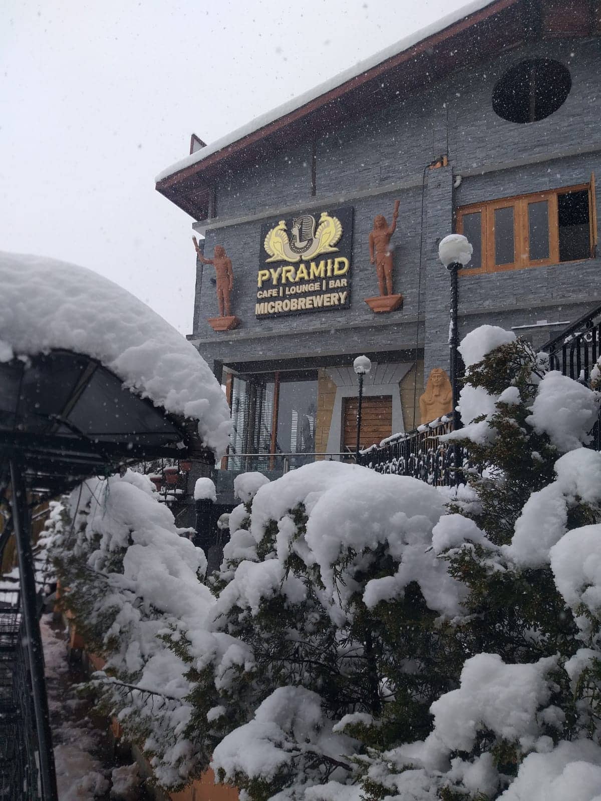 Pyramid MicroBrewery, Longwood, Shimla | Zomato
