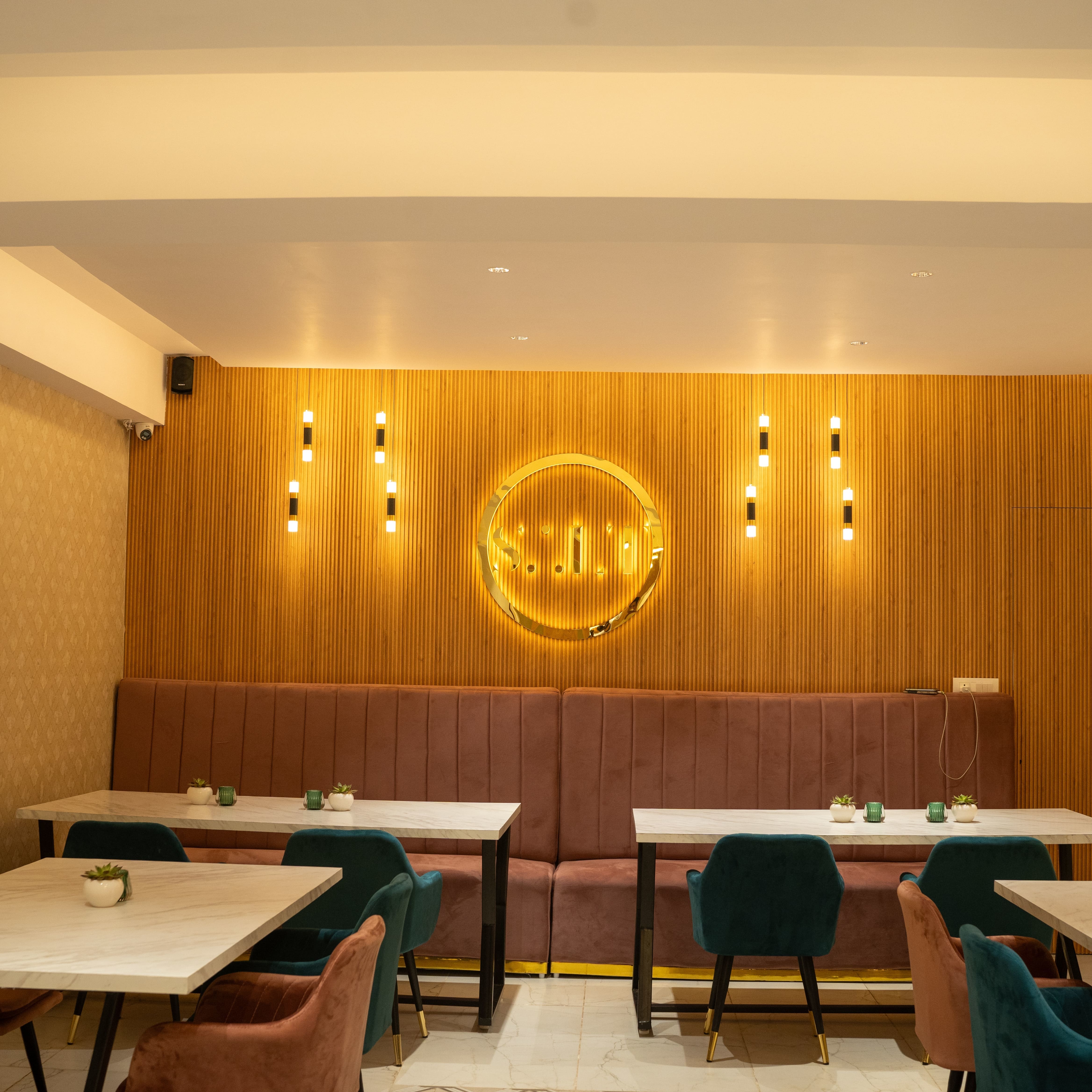 Salt - The Magical Kitchen, Sector 16, Panchkula | Zomato