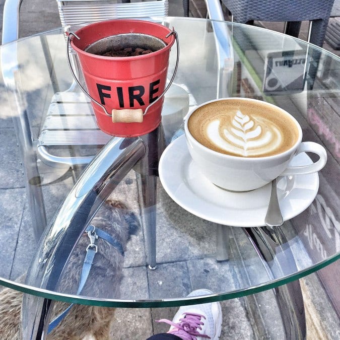 Brew Cafe Photos, Pictures of Brew Cafe, Umm Suqeim, Dubai - Zomato