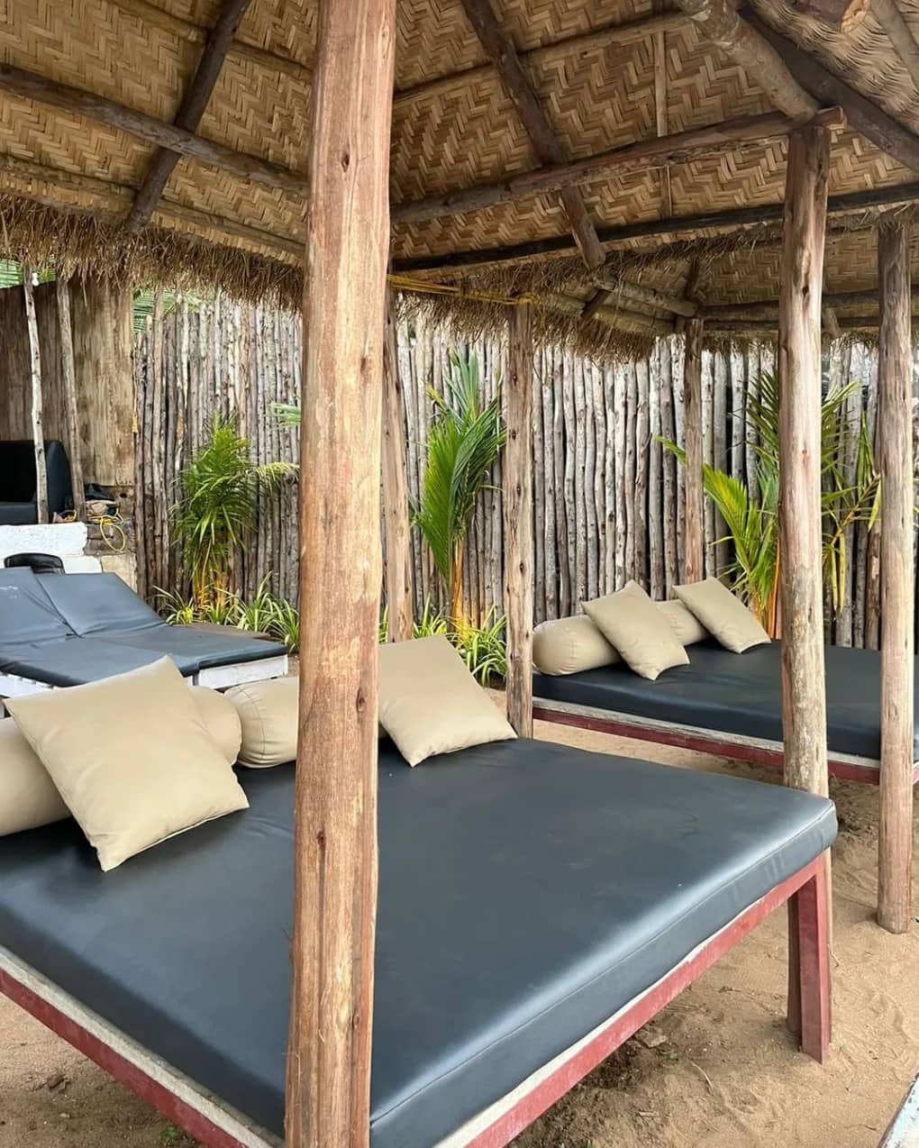 Aura Beach Cafe, Anjuna, Goa | Zomato