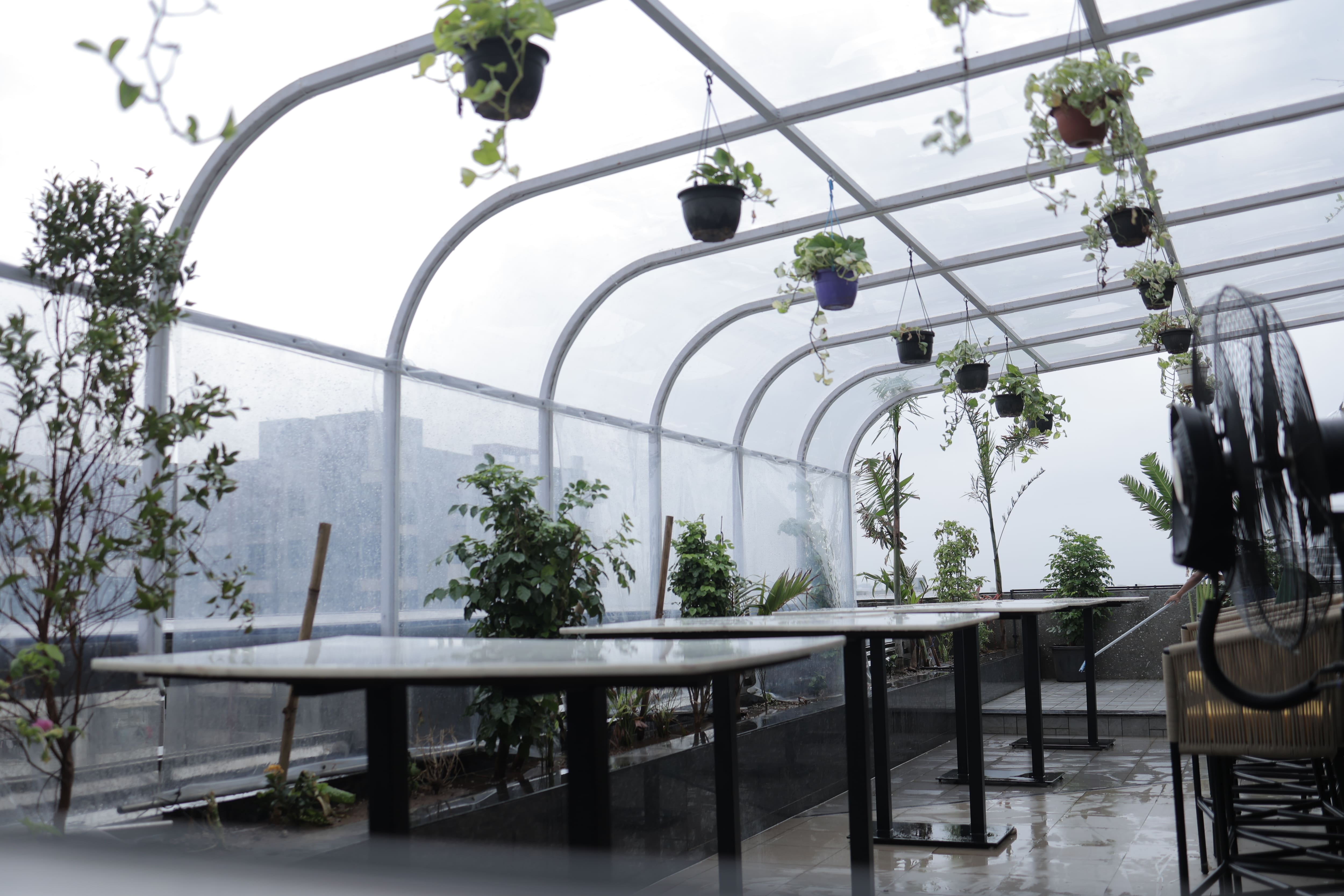 Mr Cafe - The Sky Lounge, Vesu, Surat | Zomato