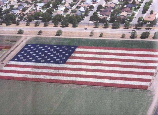 Lompoc Flower Field Flag | Best Flower Site