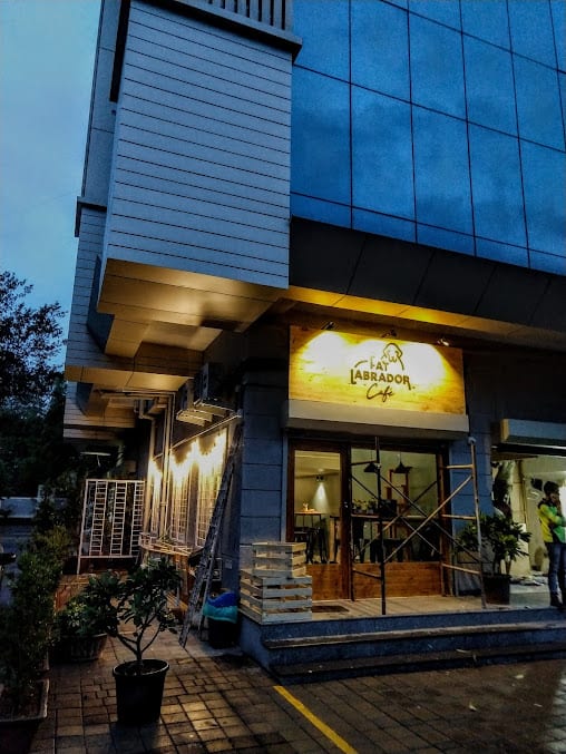 The Fat Labrador Cafe, Bavdhan, Pune | Zomato