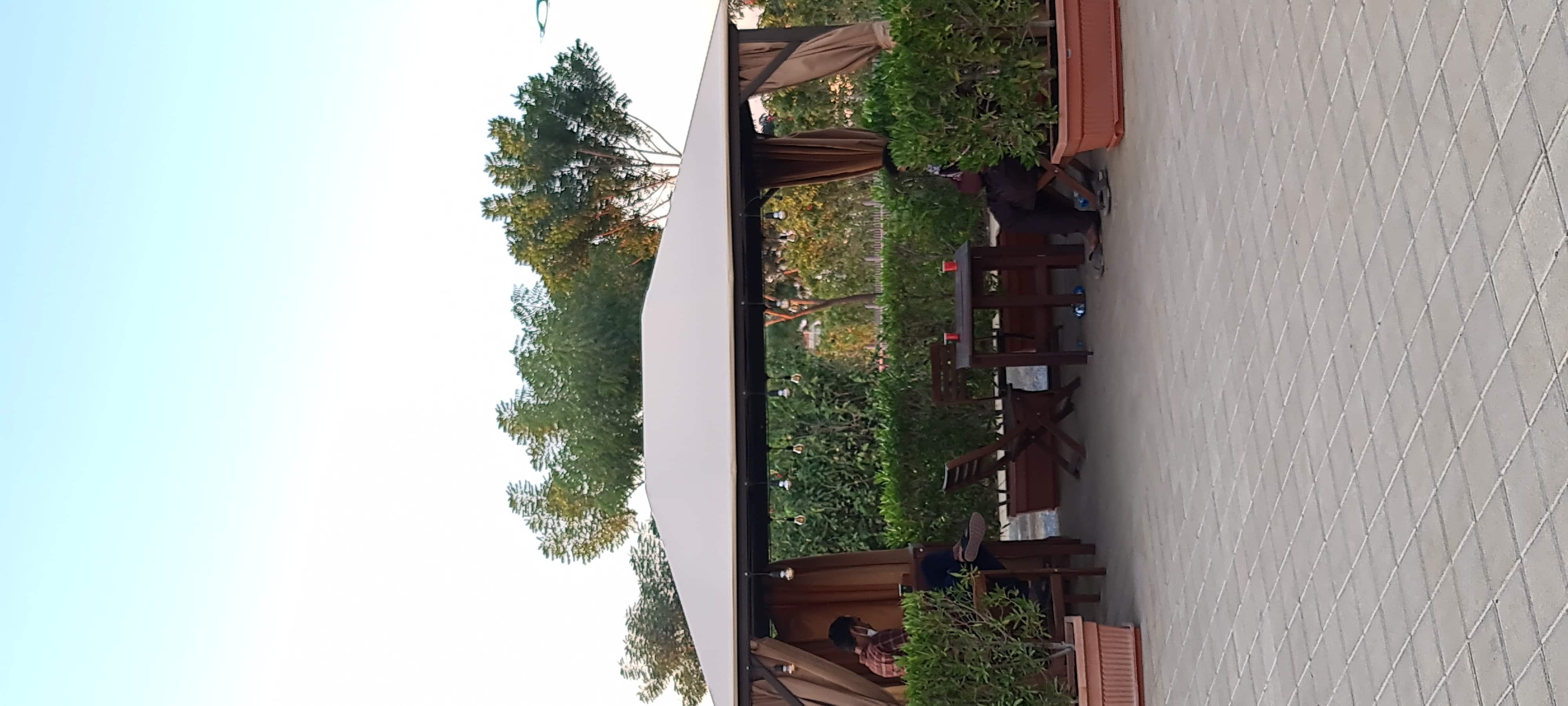 Photos of Tea Trend Cafeteria, Pictures of Tea Trend Cafeteria, Dubai ...