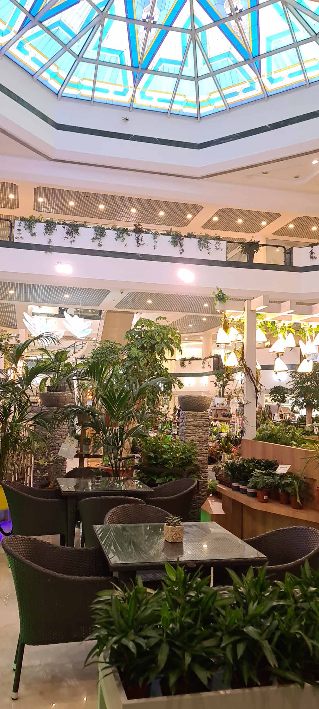 Mug N Cream, Al Satwa, Dubai | Zomato