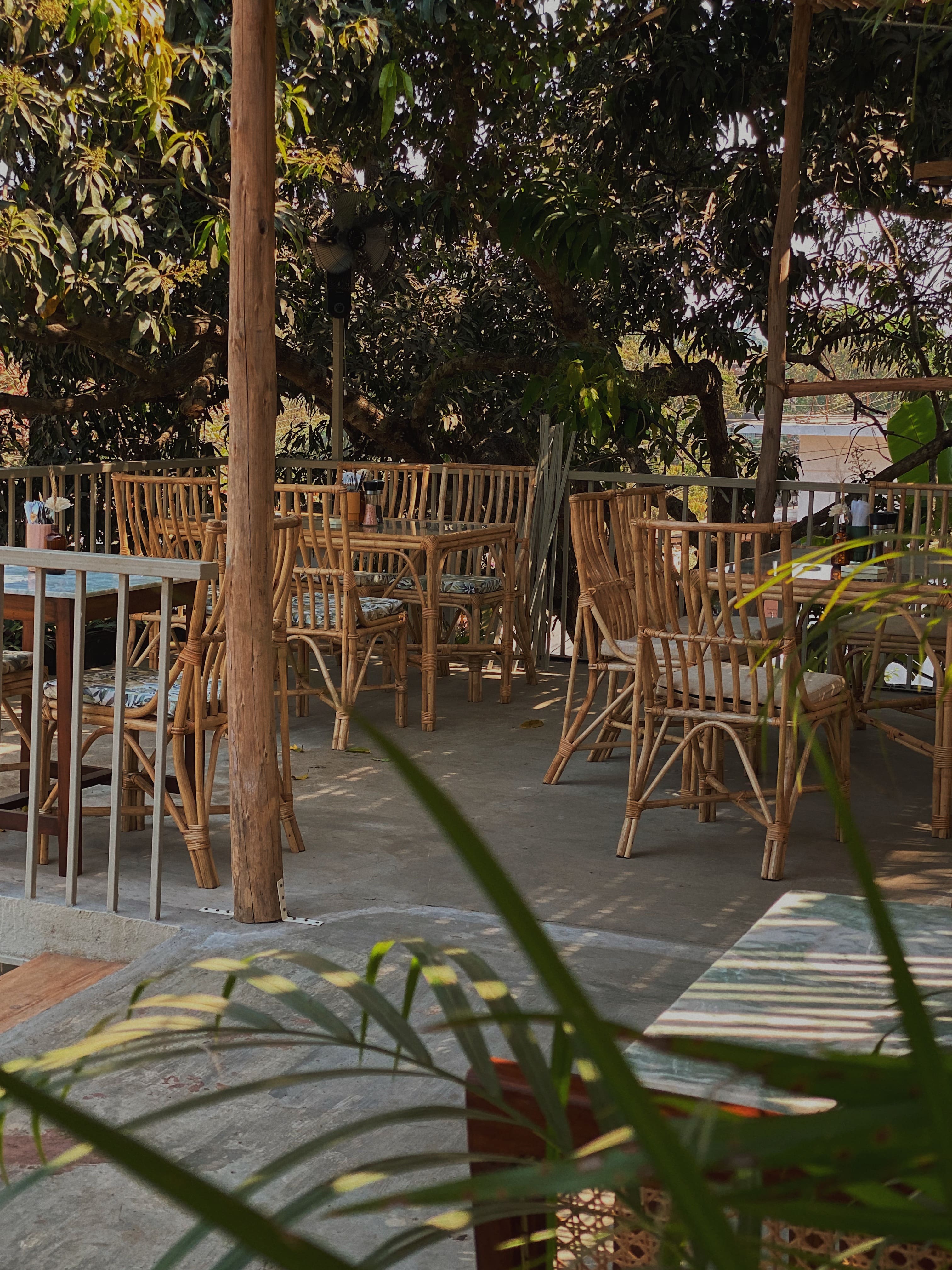 Hello Sunshine, Anjuna, Goa | Zomato