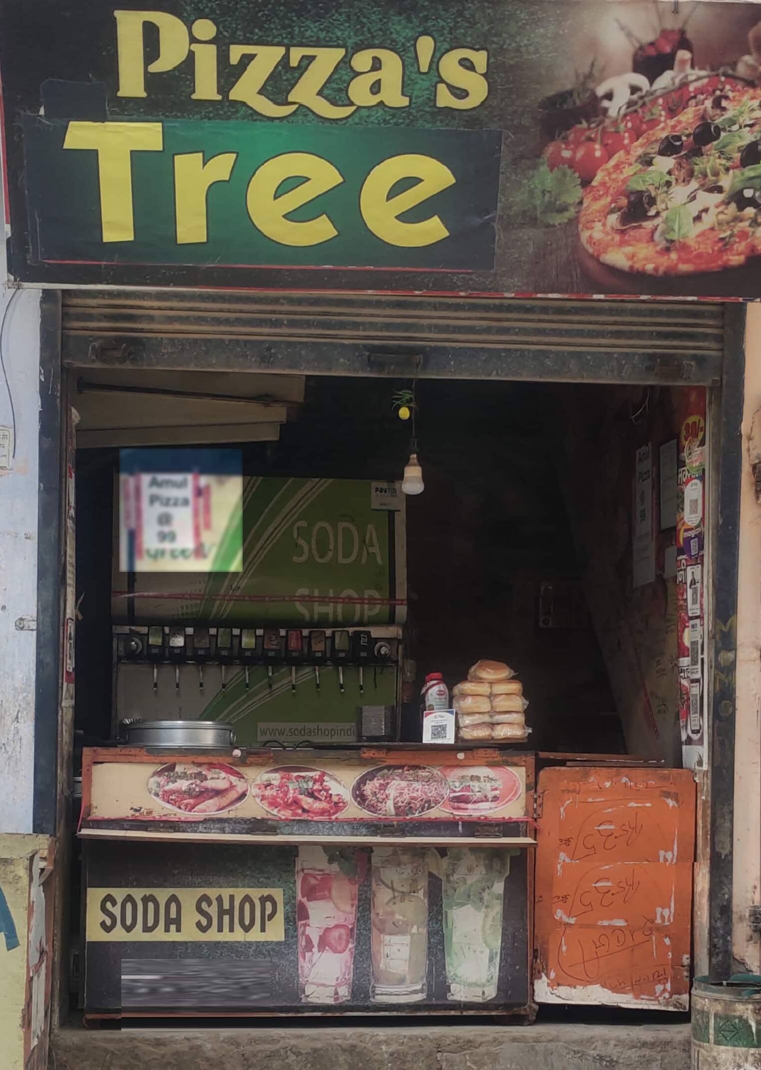 Pizza Tree, Sector 29, Faridabad | Zomato