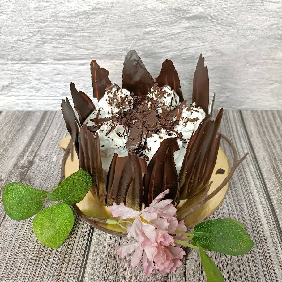 Vinnie's, Sector 67, Mohali | Zomato