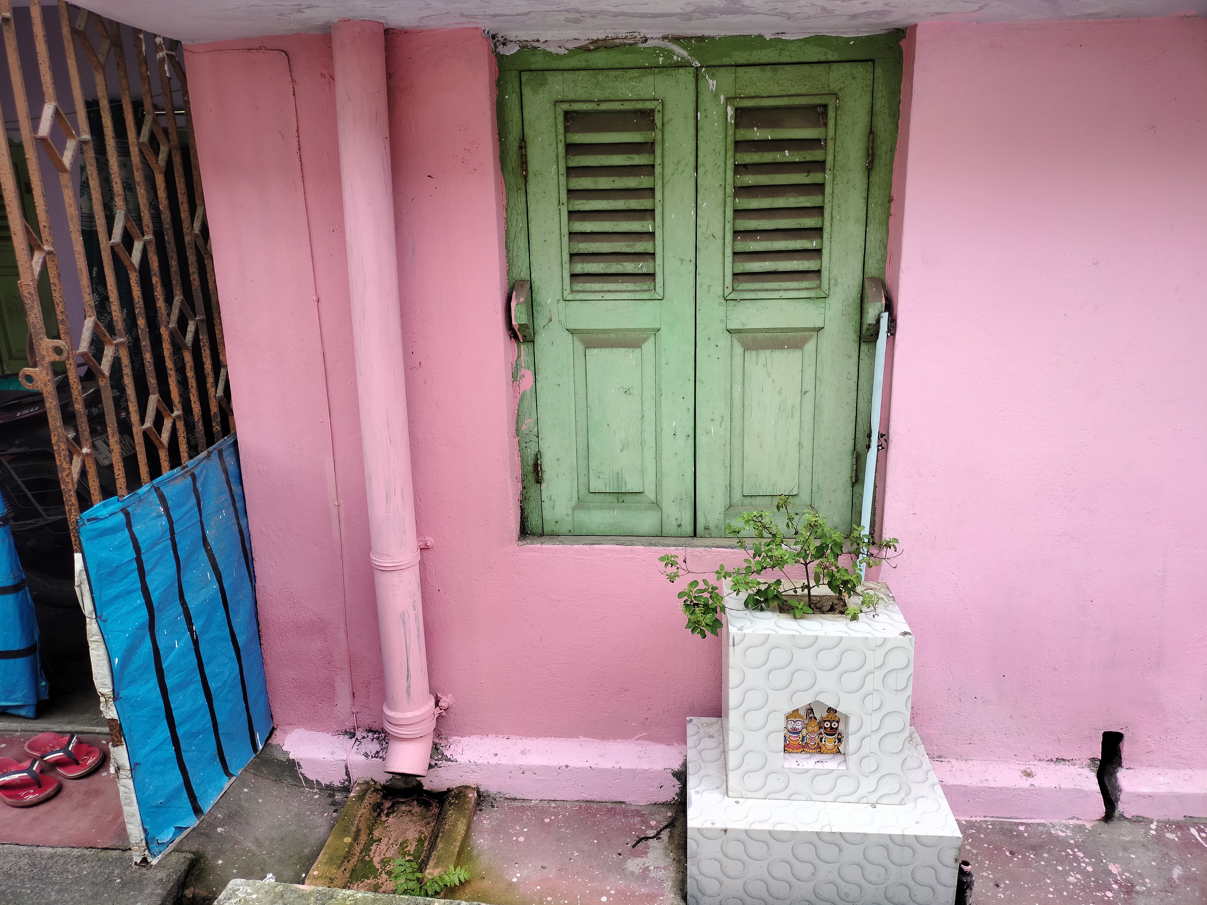 Food Fella, Barasat, Kolkata | Zomato