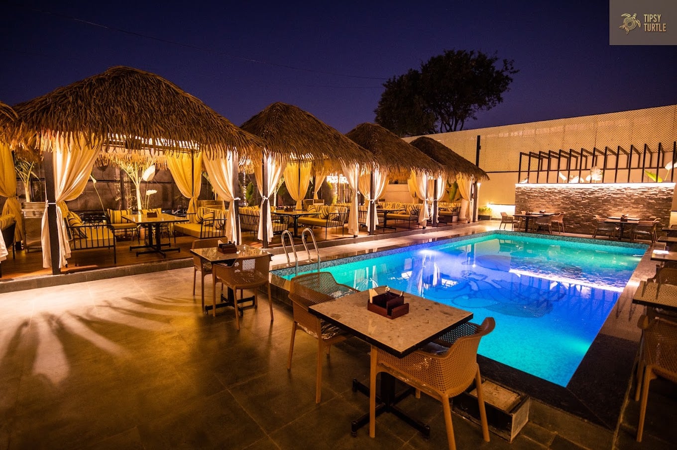 Tipsy Turtle, Bavdhan, Pune | Zomato